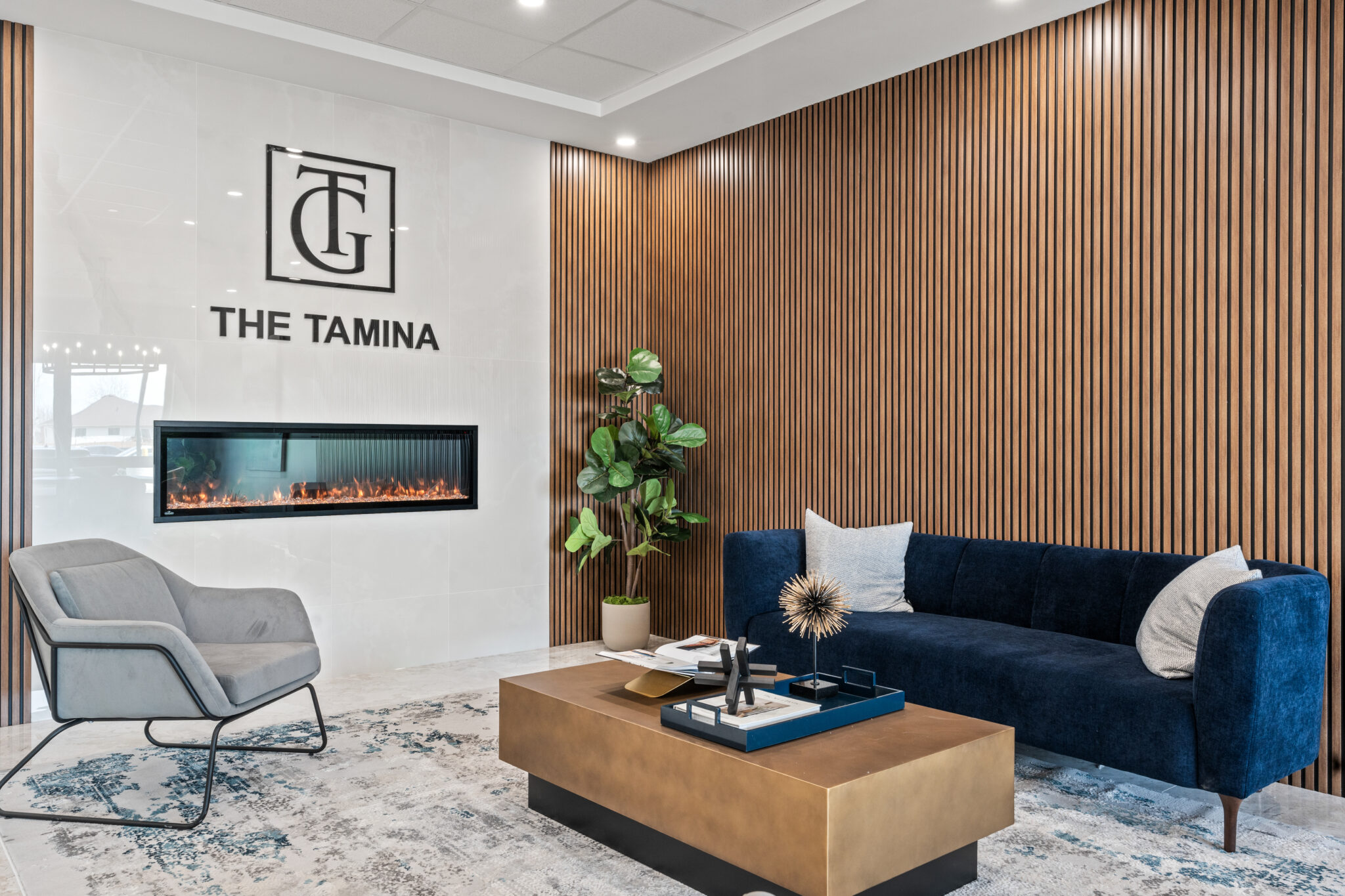 Trinity Gate Condos - HD development group